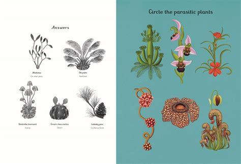 Botanicum Activity Book By Professor Katherine Willis Katie Scott And