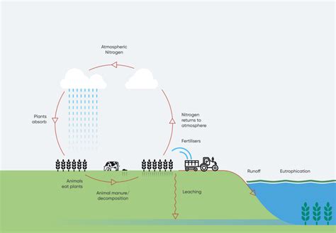 How Do Nitrates Effect Our Groundwater And Freshwater Waterways