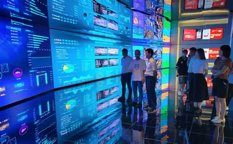 湛江市坡头区区委副书记、区长黄哲辉率队考察虎翅云工厂 知乎