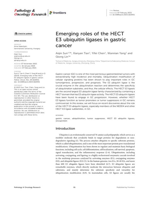 Emerging Roles Of The Hect E3 Ubiquitin Ligases In Gastric Cancer Pdf