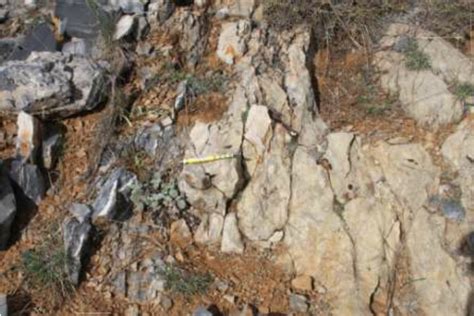 Lower Sharp Boundary Of The Nodular Limestone Member To The Left