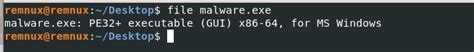 Malware Analysis Fundamentals A Guide To The Pe File Format