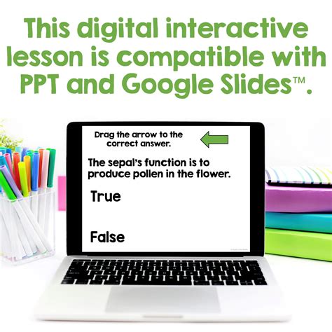 Flower Structures Interactive Lesson Bright In The Middle