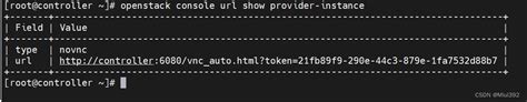 openstack云计算平台 启动一个实例 openstack创建实例 csdn博客