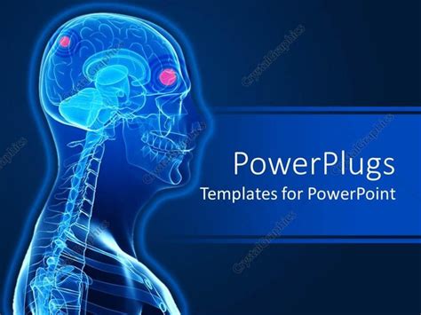 powerpoint template a d human character showing the brain and with