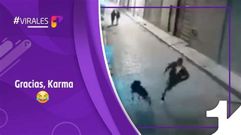 Karma Instantáneo Hombre Quiso Patear A Un Perro Pero Se Fue De Cara
