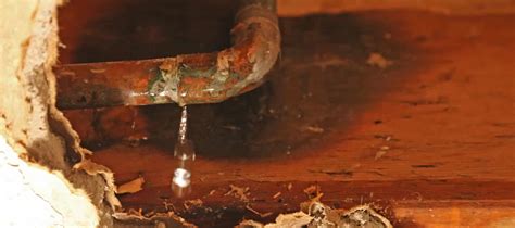 Detecting Hidden Plumbing Leaks In Melbourne Fl Homes