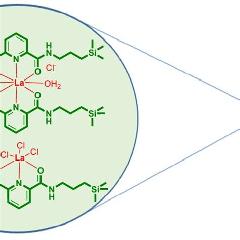 A SEM Image Scale Bar Nm B TEM Image Scale Bar Nm And Download Scientific