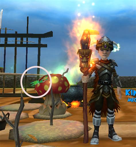 Wizard101 Wizards Keep Gardening And The Power Of The Pixie