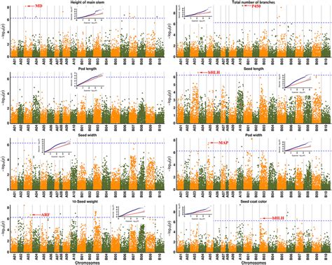 Genome Wide Association Studies Gwas Of Traits Associated With