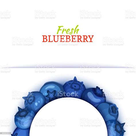 반원 컬러 프레임 맛 있는 Blueberryfruit의 구성 벡터 카드 그림입니다 식품 포장 주스 아침 화장품 차 디자인에 대