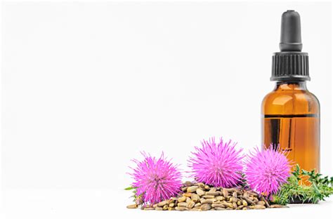 Silybum Marianum 허브 씨앗 흰 배경에 우유 엉겅퀴의 씨앗 큰엉겅퀴의 가장 일반적인 용도 중 하나는 간 문제를