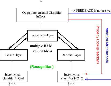 Modular Neural Network Modelling A Multimodal Associative Memory The