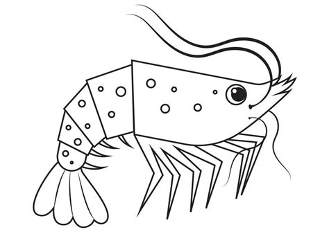 Shrimp Coloring Vector Art Icons And Graphics For Free Download