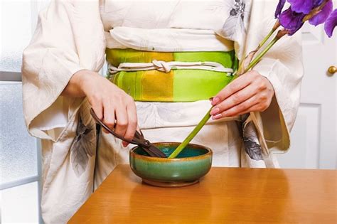꽃꽂이를 연습하는 일본 여성 꽃 줄기를 자르는 여자의 손 가위에 대한 스톡 사진 및 기타 이미지 가위 구도 균형 Istock