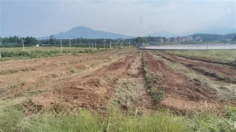 道县：严厉打击占用耕地和永久基本农田的违法行为部门动态市自然资源和规划局永州市人民政府