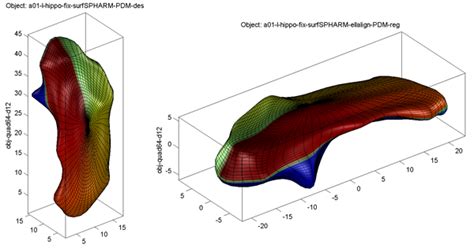 Surface Alignment SPHARM MAT V1 0 0 Documentation