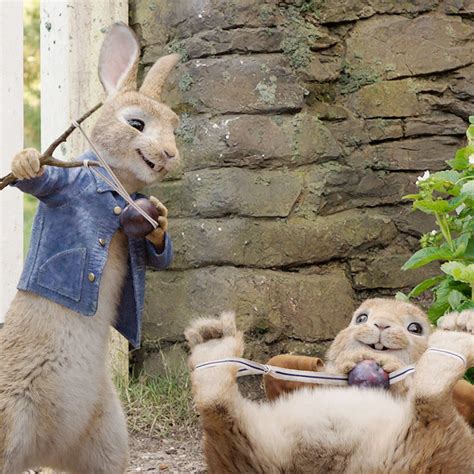 Кролик питер картинки 64 фото