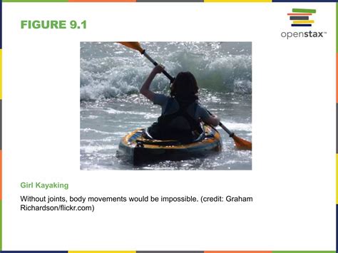 Open Stax Anatomy Physiology Ch09 PPTX