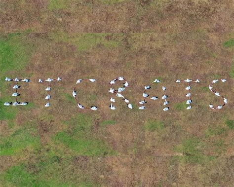 Itcrats On Linkedin Itcrats Hyderabad Winningteam Corporate Cricket Tournament