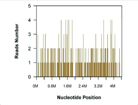 Next Generation Sequencing And Metagenomics Analysis Proteus Download Scientific Diagram