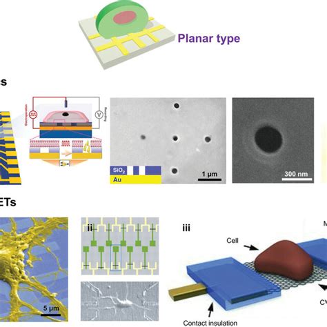 Planar Type Bioelectronics For Cells A Nanowells Nanowell Based