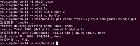 Linux Vim