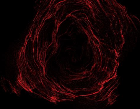 interactive 3d particle system behance