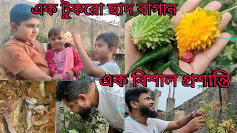 ছাদ বাগান থেকে ফুল ফল সবজি তোলার মজাই আলাদা। Tonnys Nirvana Youtube