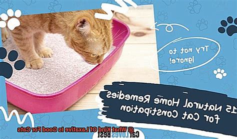 What Kind Of Laxative Is Good For Cats