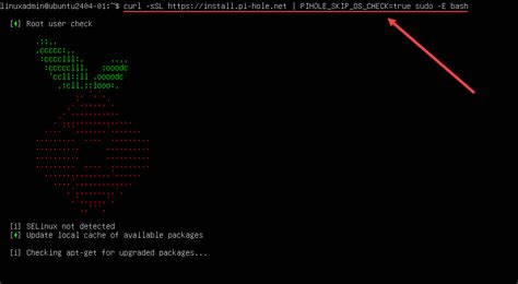 Install Pi Hole In Ubuntu LTS Virtualization Howto