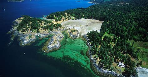 Salish Sea News And Weather 1024 Lasqueti Is Harbor Porpoise