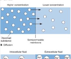 BIO 322 Amplifire Topic 1 Module 1c Fluid And Electrolyte Imbalances Flashcards Quizlet