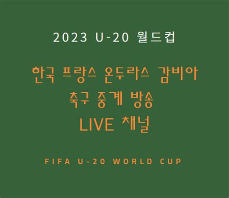 한국 프랑스 온두라스 감비아 중계 방송 Live 채널 U20 월드컵 F조 경기 일정 유발jubal