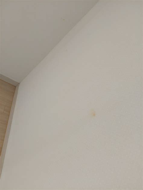 엘에이치 호매실 스타힐스 입주청소 21단지 구조 보기 네이버 블로그