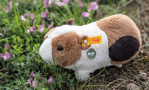 Steiff Meerschweinchen Dalle Teddies for tomorrow 22 cm stehend 074547 ...