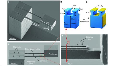 3d Printed Accelerometer A Sem Image Of The 3d Printed Accelerometer