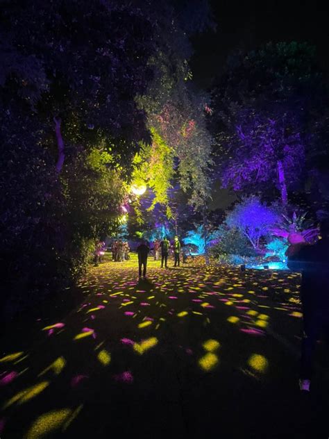 Lightscape Epic Holiday Display At The La Arboretum In Arcadia
