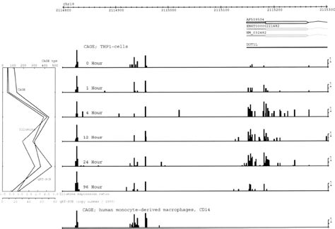[pdf] Cap Analysis Gene Expression Cage By Piero Carninci 9780429533655