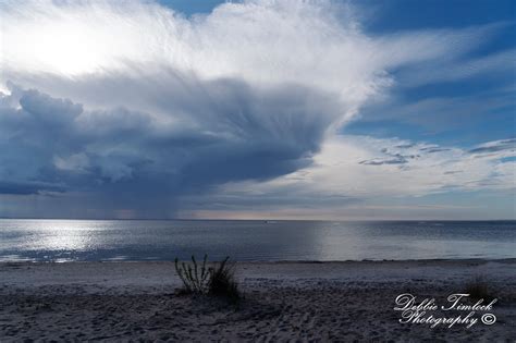 Debbie Timlock Photography Debbie Timlock Photography