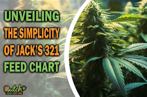 Unveiling The Simplicity Of The Jacks 321 Feed Chart Dss