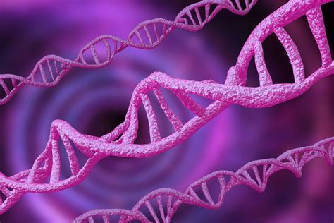 beginners guide to the f2 gene mutation