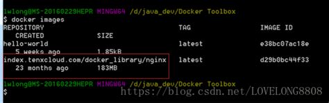 docker之nginx镜像运行 docker中ngnix使用 csdn博客