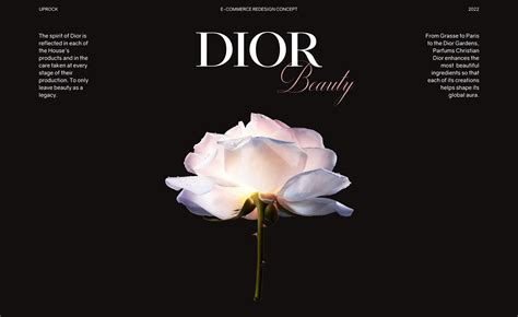 Dior Beauty E Commerce Redesign Concept Behance