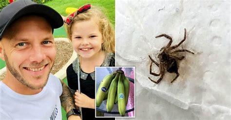 Brazilian Wandering Spider In Bananas Dad Gets House Fumigated After
