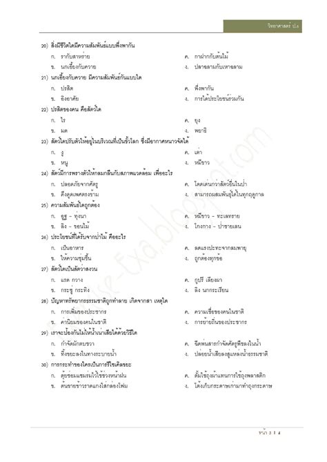 คลังข้อสอบ อนุบาล ประถม มัธยม รวมโจทย์ข้อสอบ วิชาวิทยาศาสตร์ ป 6