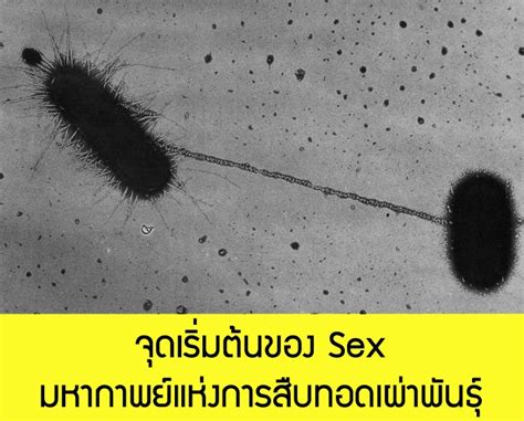 จุดเริ่มต้นของ Sex อาจวรงค์ ป๋องแป๋ง จันทมาศ