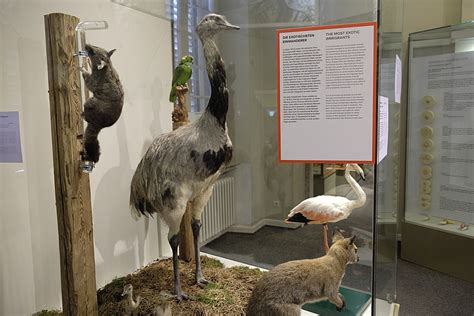 Neozoen Schloss Benrath