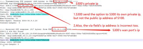 SIP Peer Trunk Registration Failed OPTIONS Packet Is Redirected To Incorrect Destination