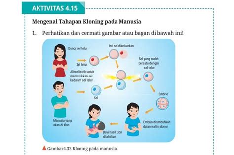 Jawab Soal Aktivitas Mengenal Tahapan Kloning Pada Manusia Materi